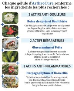 Arthrocure - Complément alimentaire contre les inflammations articulaires