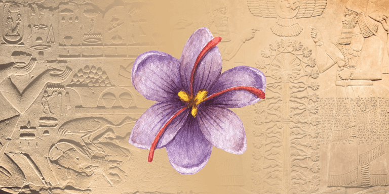 Hirudine – Crème de massage apaisante | Naturoscience